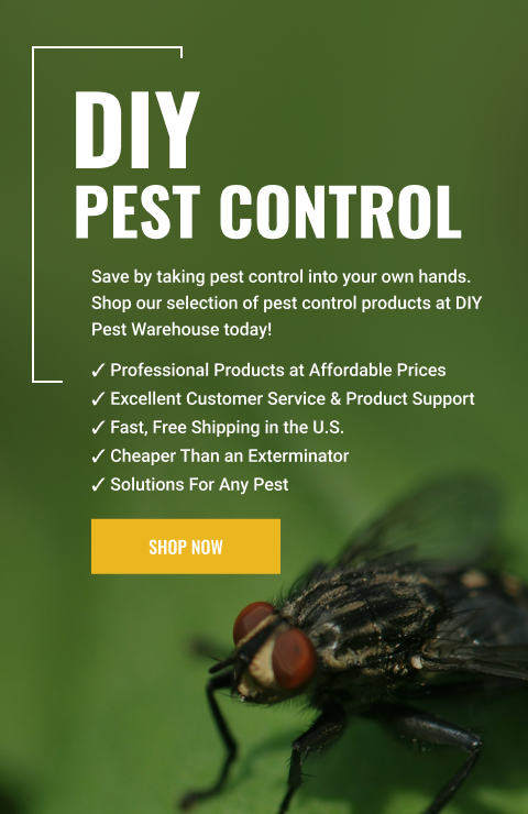 DIY Pest Control | Affordable Solutions | DIY Pest Warehouse