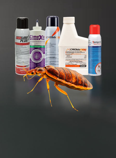 DIY Pest Control | Affordable Solutions | DIY Pest Warehouse