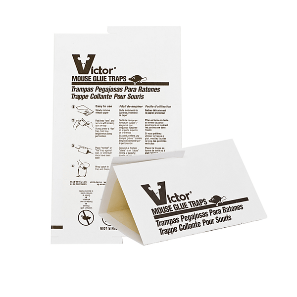 Glue Boards | Fast Free Shipping | DIY Pest Warehouse